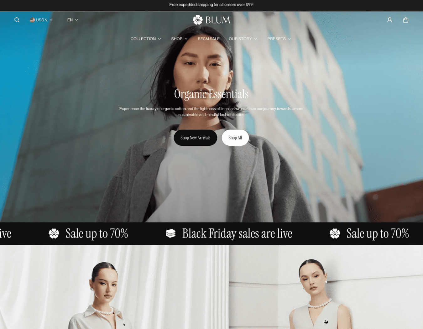 35+ Shopify Store Examples For Every Niche - What theme are they using ...
